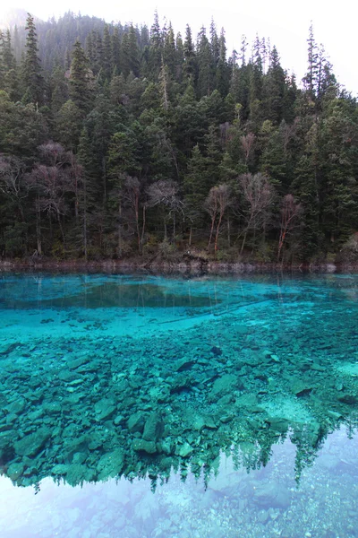 Jiuzhaigou national park Stock Photos, Royalty Free Jiuzhaigou national ...
