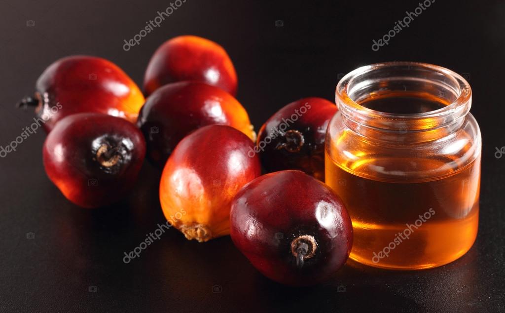 Palm Fruit And Cooking Oil Stock Photo by ©dolphfynlow 28328165