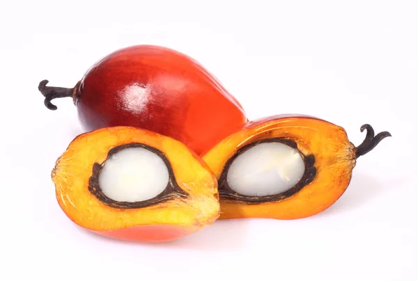 Palm kernel seed Stock Photos, Royalty Free Palm kernel seed Images ...