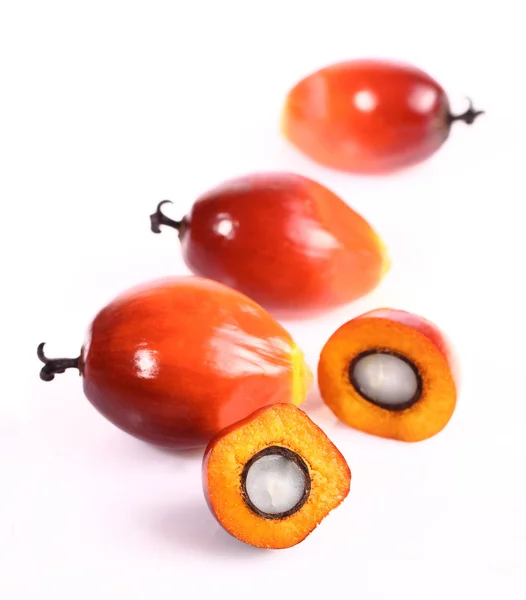 Palm kernel seed Stock Photos, Royalty Free Palm kernel seed Images ...