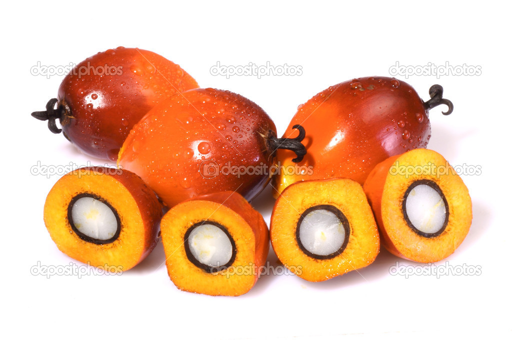 Oil Palm Fruit Bunch