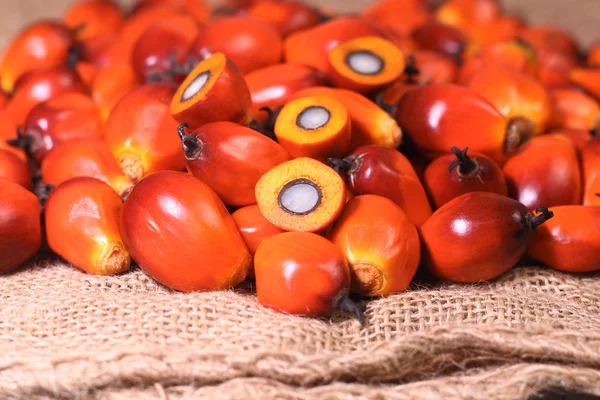 Palm kernel seed Stock Photos, Royalty Free Palm kernel seed Images ...