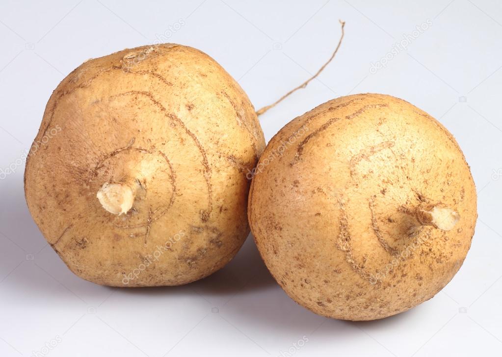 Jicama Stock Photo by ©dolphfynlow 45416507