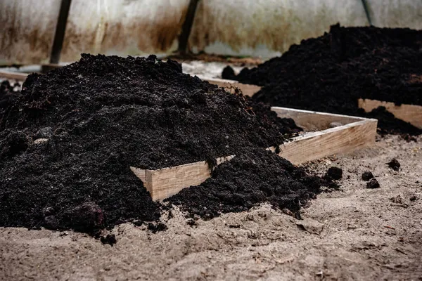 Composting soil Stock Photos, Royalty Free Composting soil Images ...