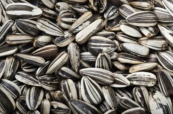 Flower seeds Stock Photos, Royalty Free Flower seeds Images | Depositphotos