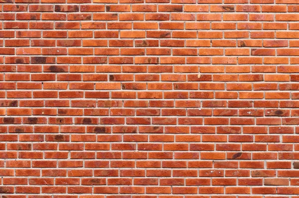 Jonathan quick Stock Photos, Royalty Free Jonathan quick Images ...