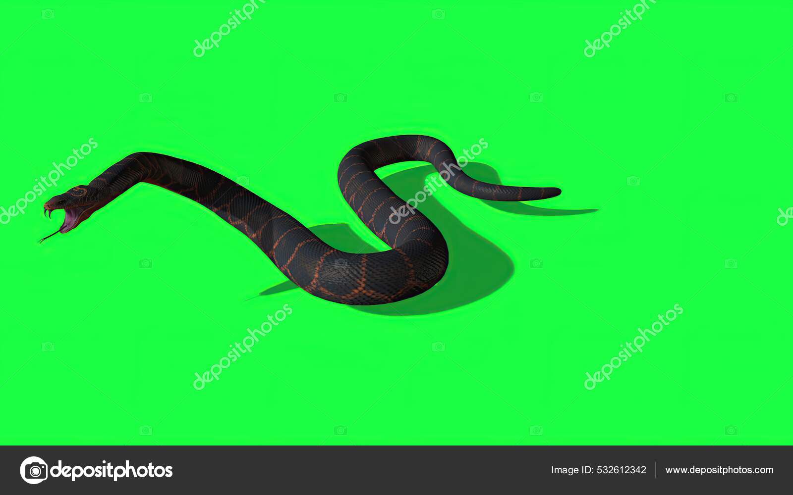 Illustration Python Snake Green Screen Background — Stock Photo ...