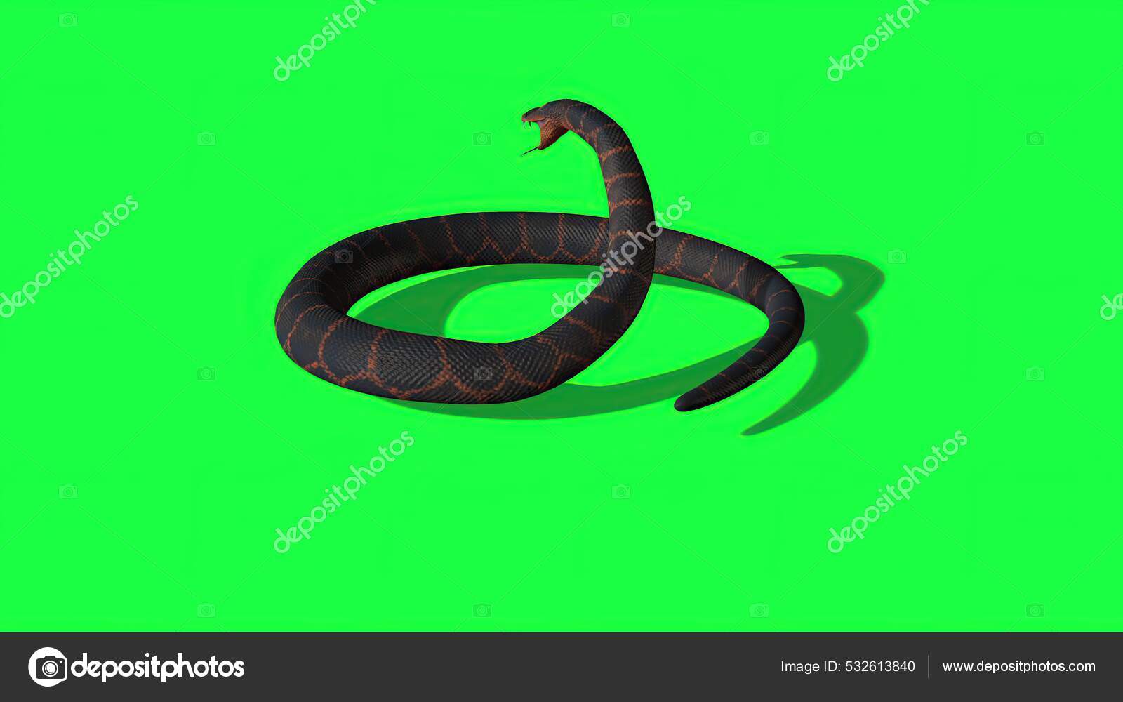 Illustration Python Snake Green Screen Background — Stock Photo ...