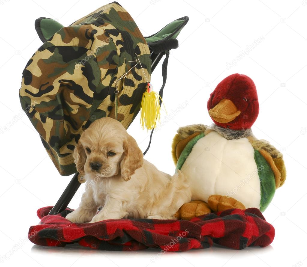 Hunting dog — Stock Photo © willeecole #13893873