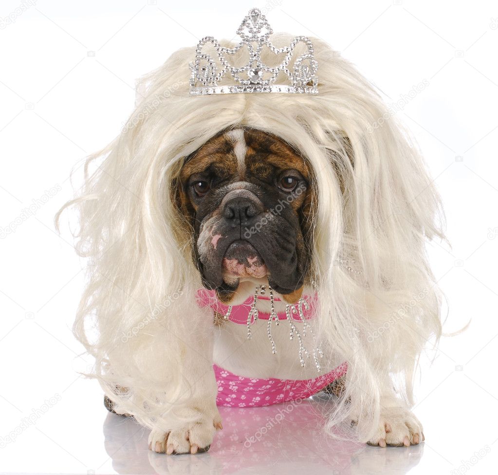 Ugly princess Stock Photo by ©willeecole 13923780