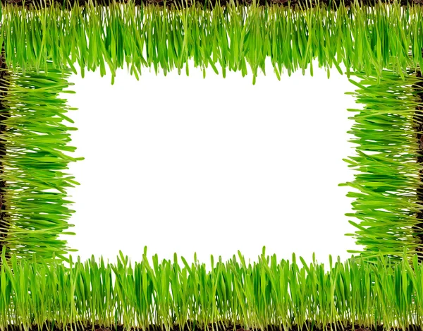 Çimen çizimi Vector Art Stock Images | Depositphotos