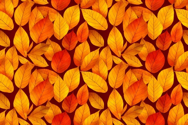 Autumn leaves background Stock Photos, Royalty Free Autumn leaves ...
