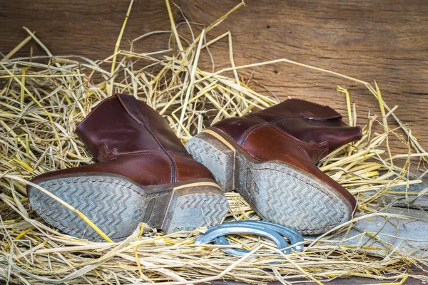 Still life cowboy boots — Stock Photo © worac #41512351