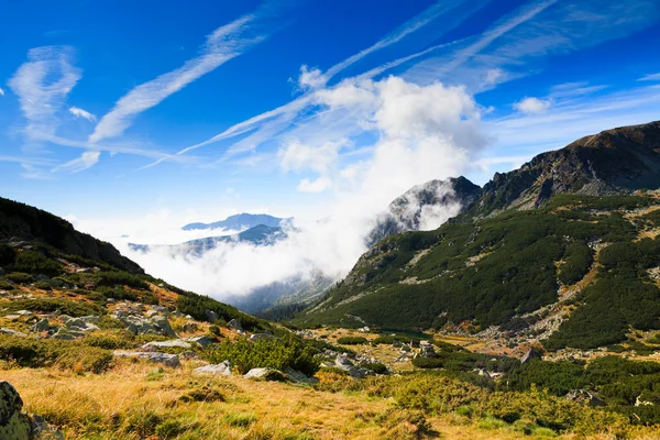 High valtellina Stock Photos, Royalty Free High valtellina Images ...