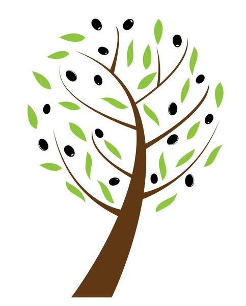 1,320 Old olive tree Vector Images, Royalty-free Old olive tree Vectors ...
