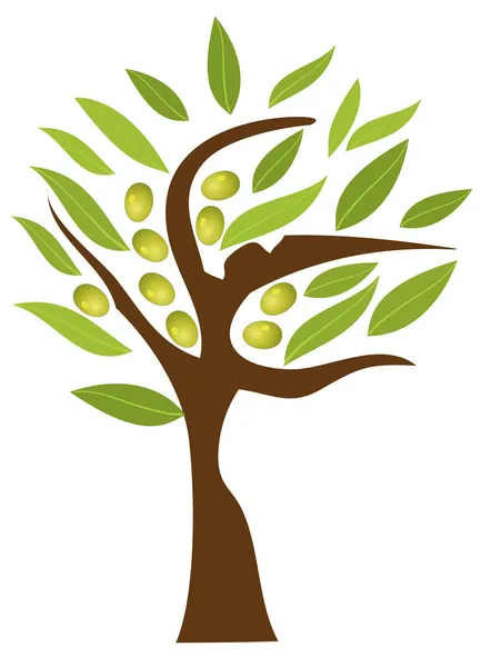 1,320 Old olive tree Vector Images, Royalty-free Old olive tree Vectors ...