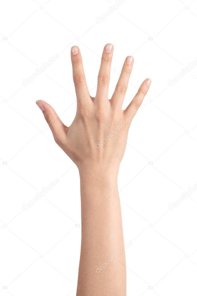 Woman hand showing the five fingers Stock Photo by ©AntonioGuillemF ...