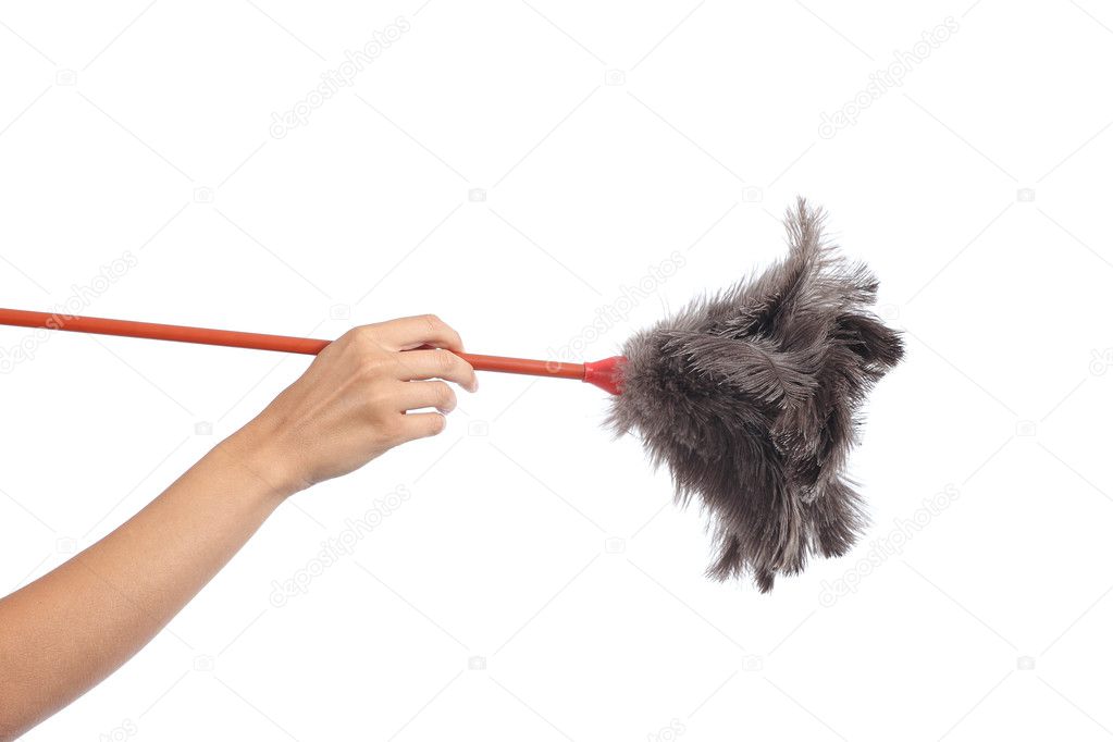 Woman hand holding a duster clean Stock Photo by ©AntonioGuillemF 29859039