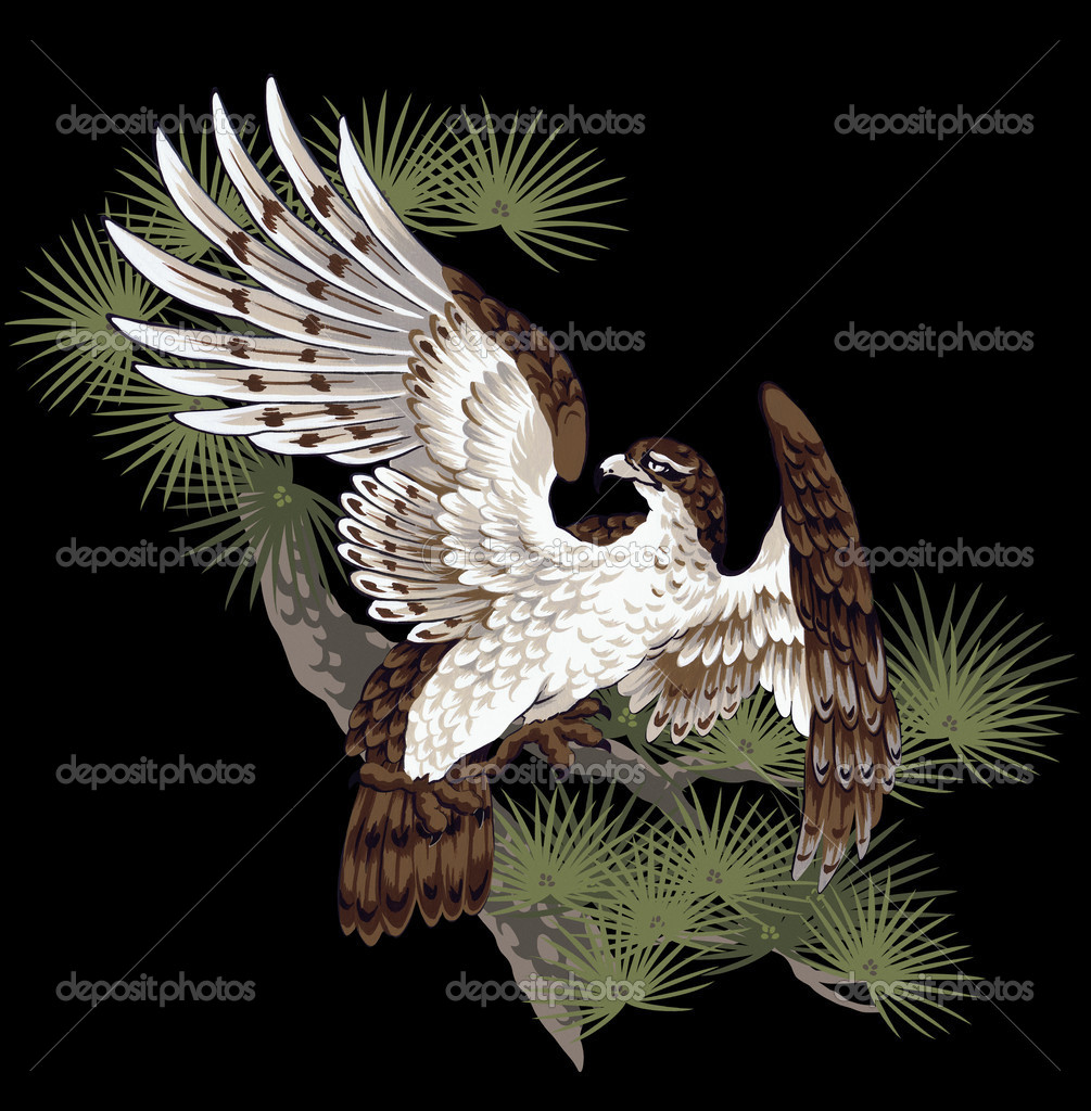 Japanese Hawk Painting