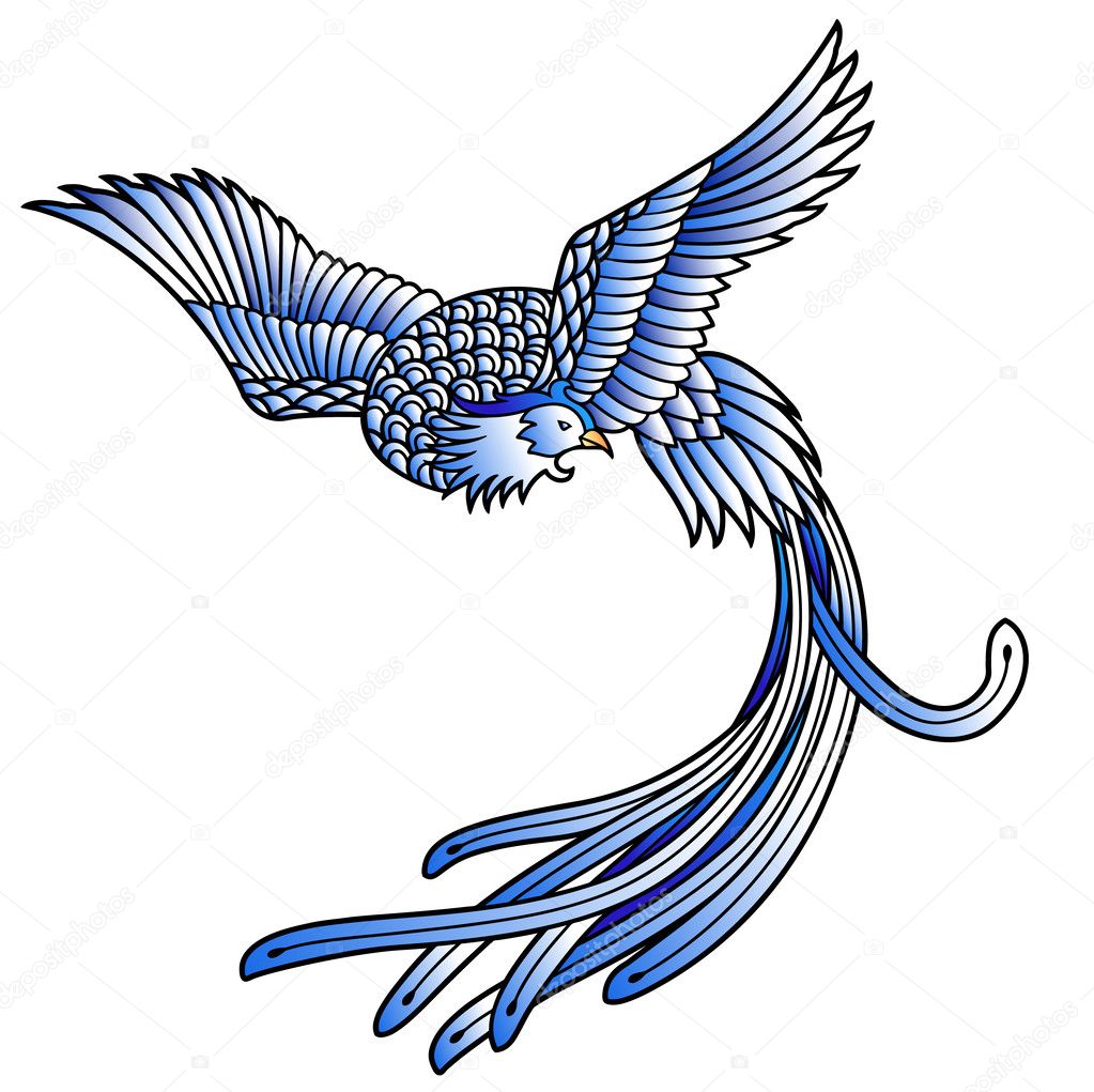 Chinese Phoenix Drawing