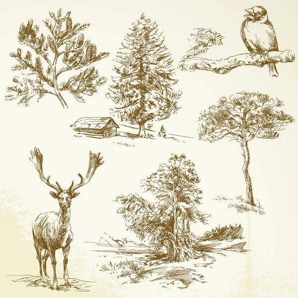 ᐈ Forest of animals stock vectors, Royalty Free forest animals ...