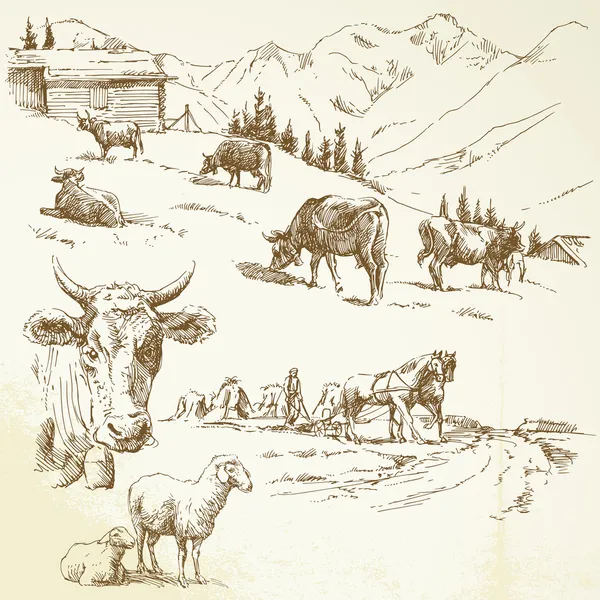 Farm hand drawn Stock Vectors, Royalty Free Farm hand drawn ...