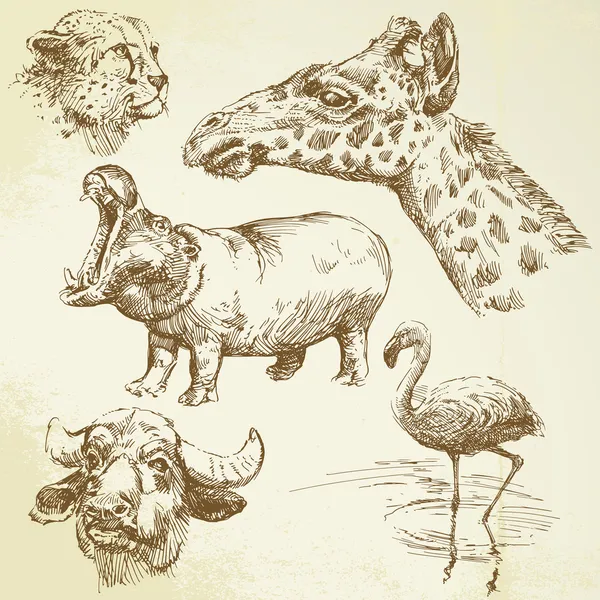 ᐈ Hand drawn animal stock images, Royalty Free hand drawn animals ...