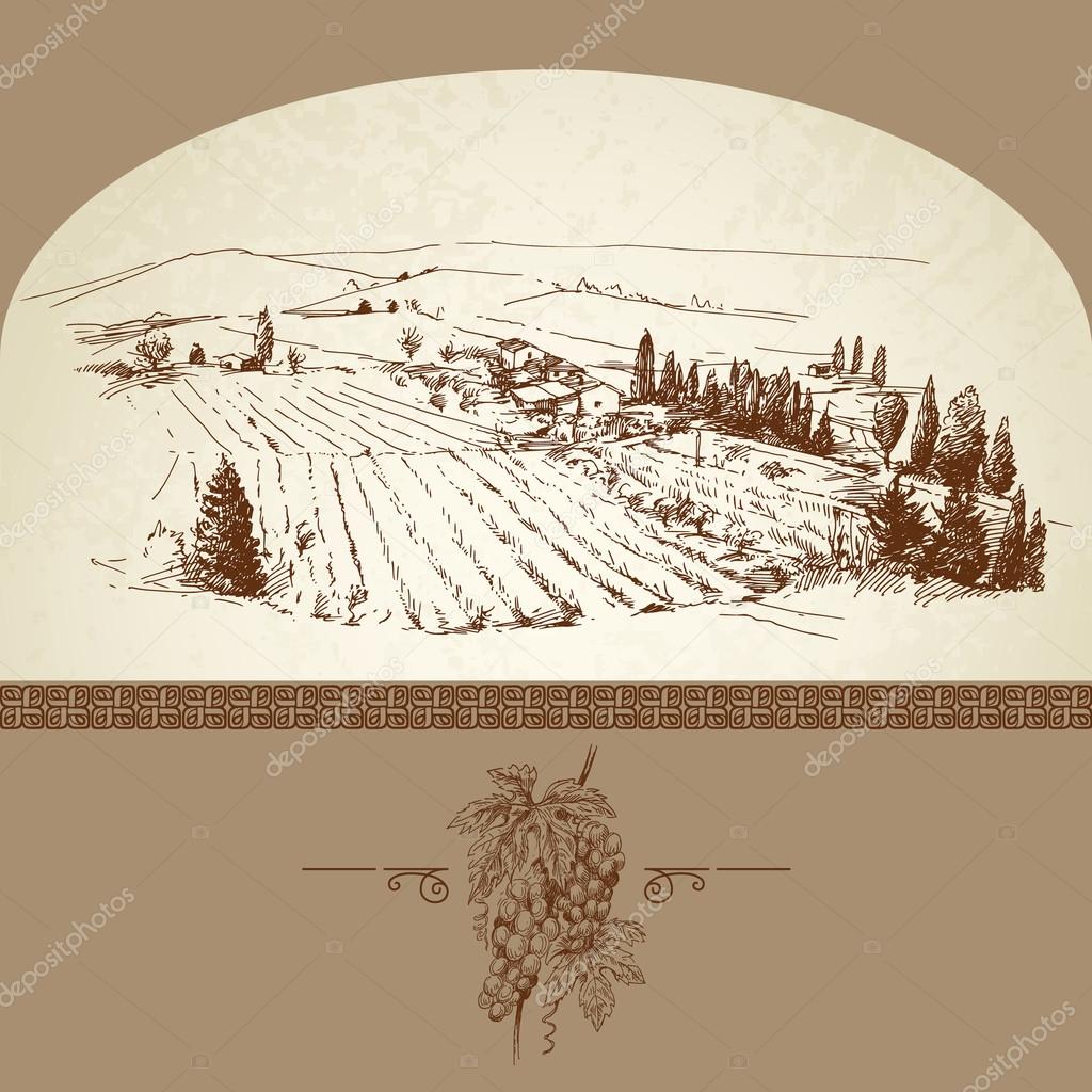 Vineyard Vector Free Download