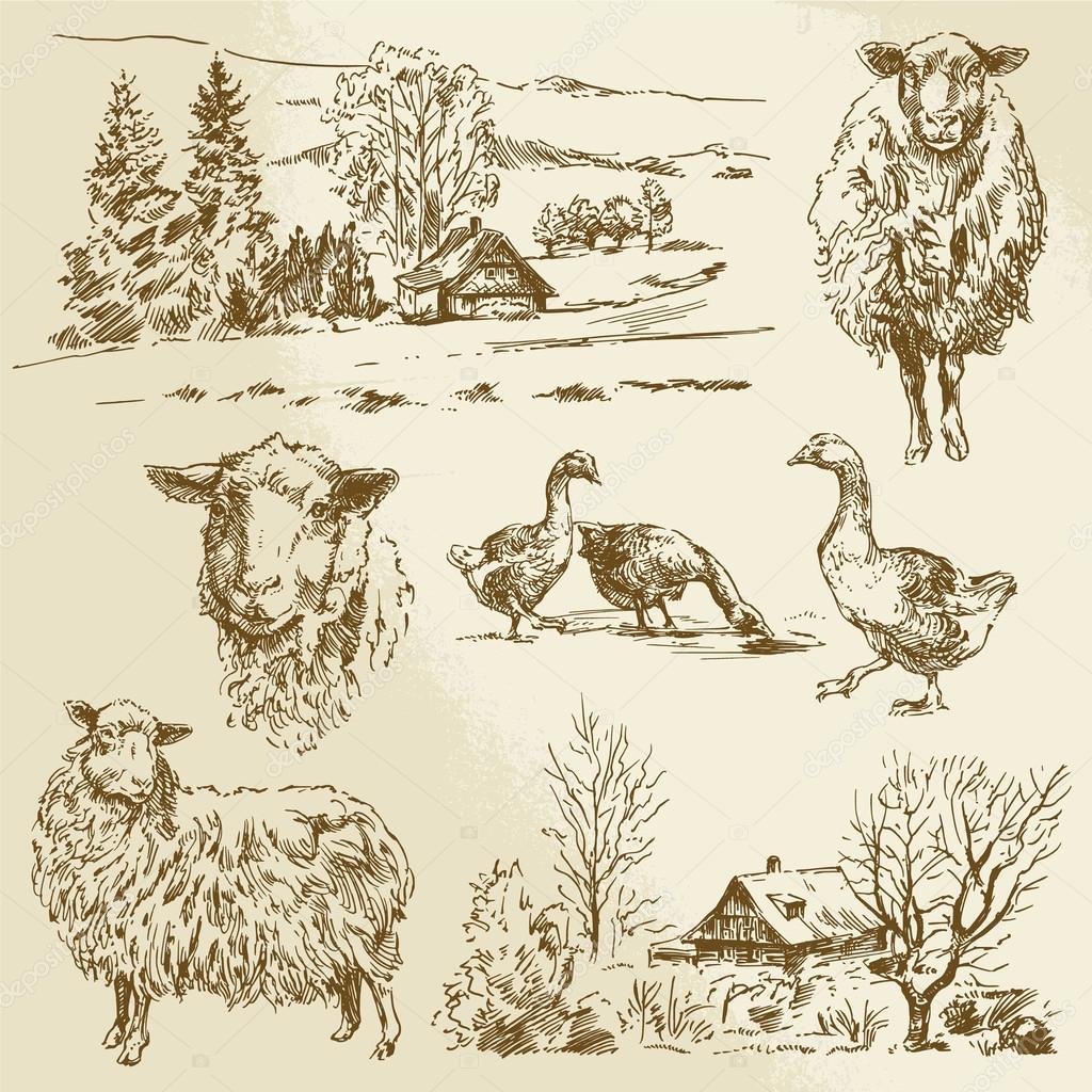 paisaje rural, animales de granja - ilustración dibujada a mano 2023