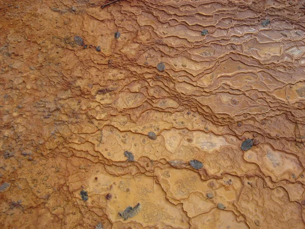 Rusty soil texture Stock Photo by ©smatyas 14619097