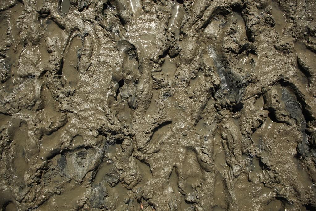 Mud Background