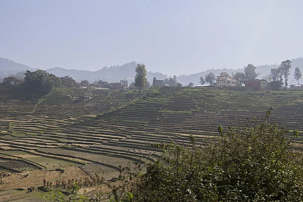 Rye nepali Stock Photos, Royalty Free Rye nepali Images | Depositphotos