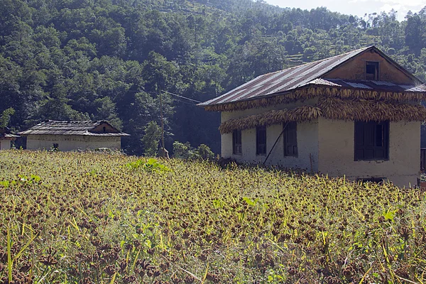Achi village Stock Photos, Royalty Free Achi village Images | Depositphotos