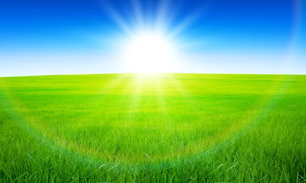 Green landscape sun Stock Photos, Royalty Free Green landscape sun ...