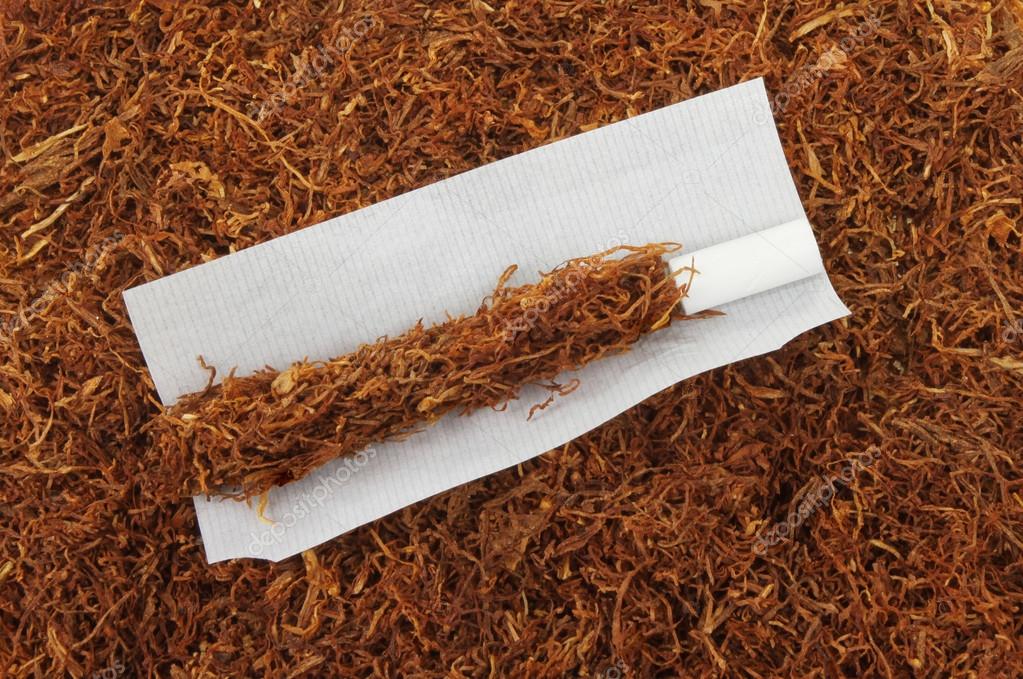 Tabaco de onça — Fotografia de Stock #36578165