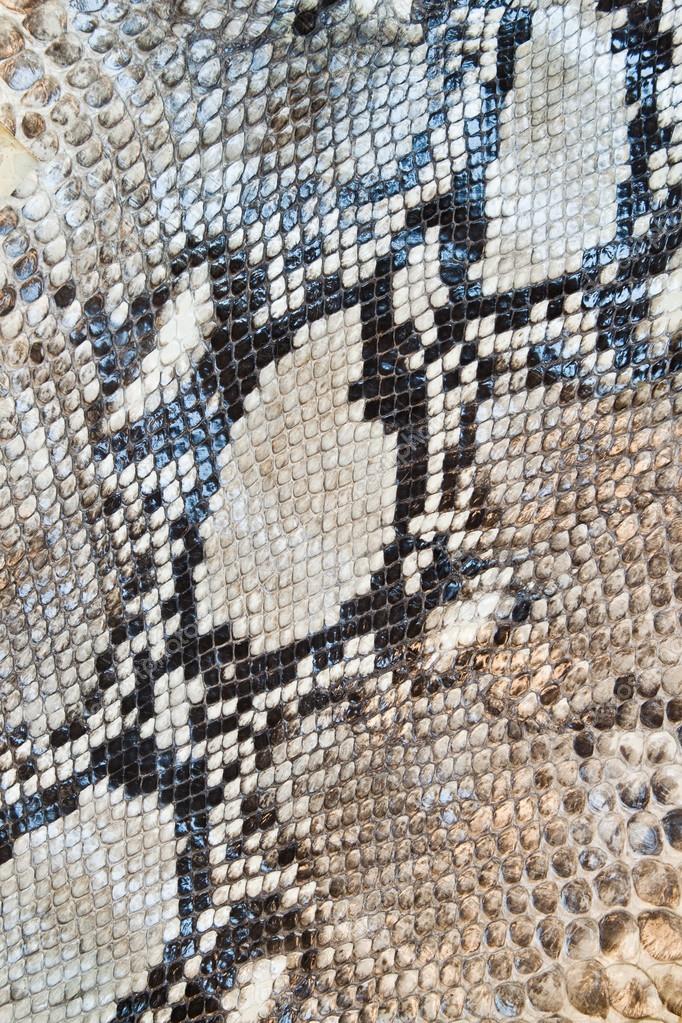 Boa snake skin pattern texture background — Stock Photo © satit_srihin ...