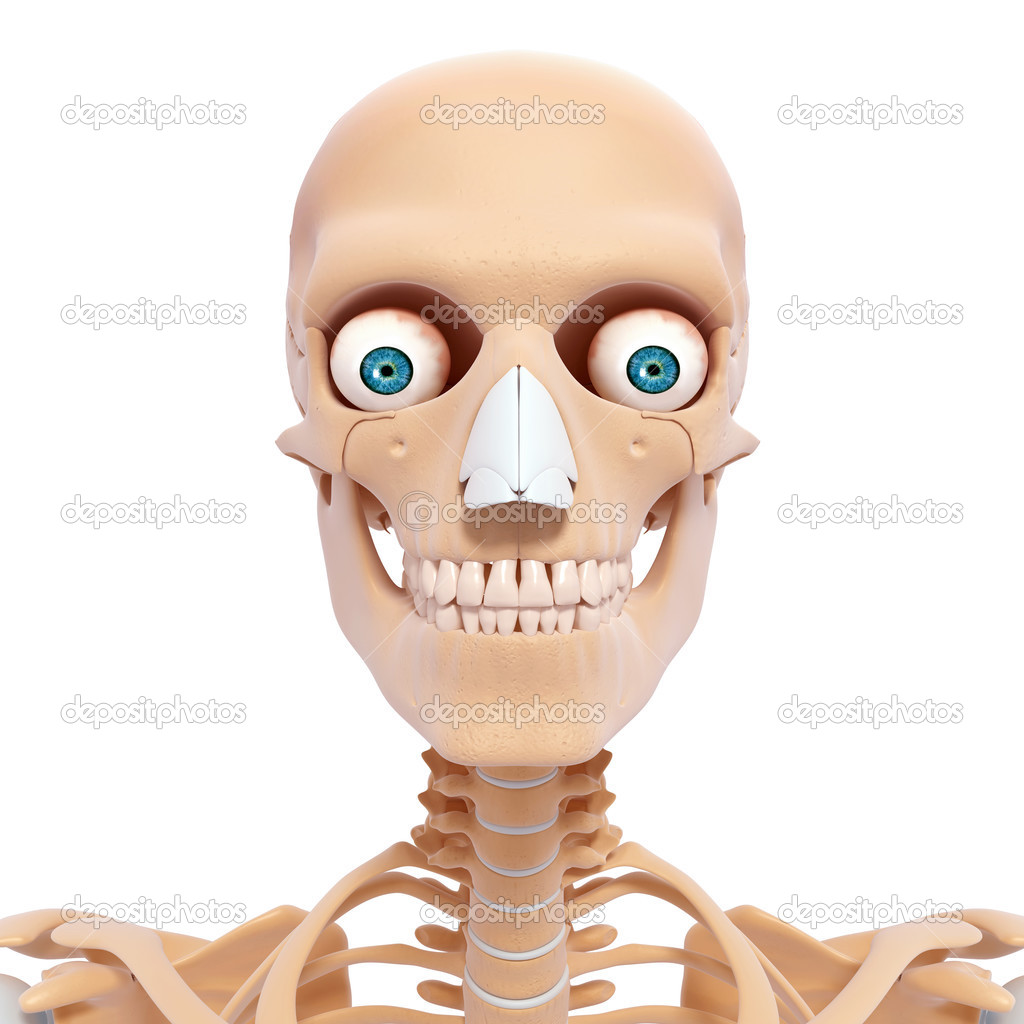 Human skeleton of head with eyes,teeth — Stock Photo © pixologic #22677843