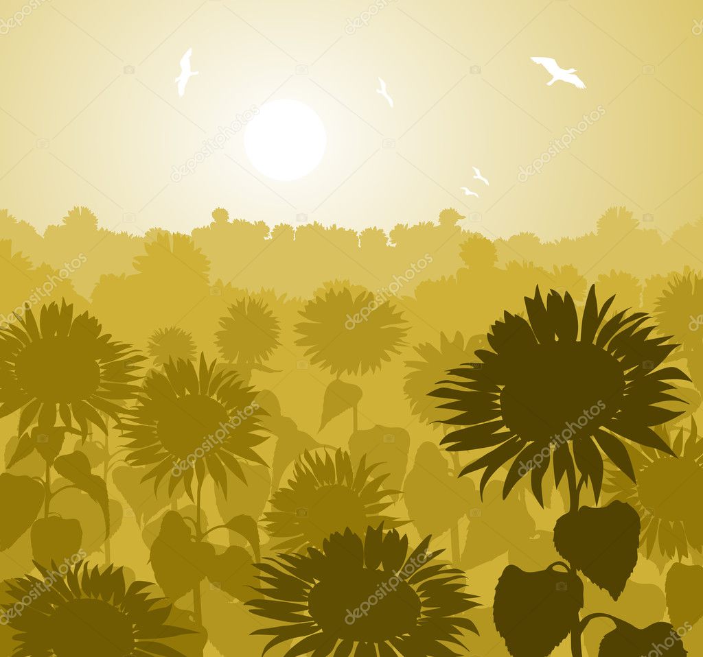 Sunflower landscape Stock Vector by ©Portumen 29901737