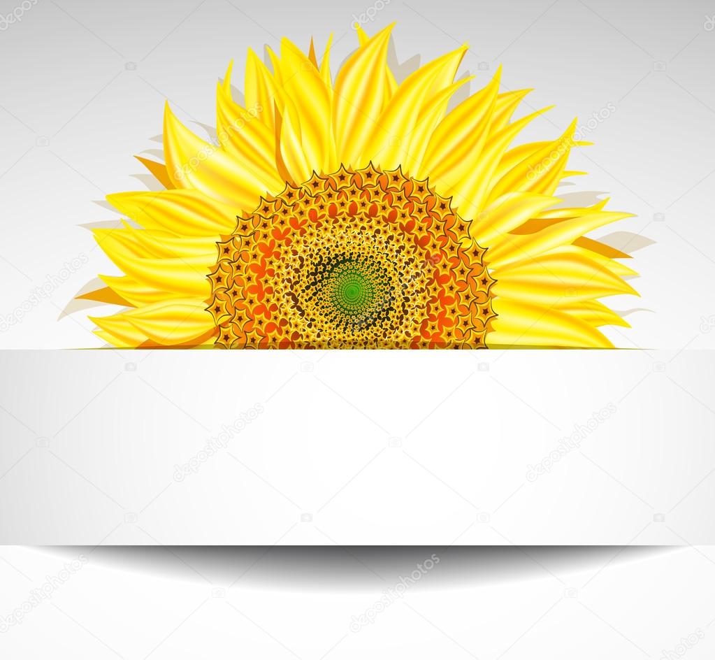 Abstract sunflower background Stock Vector Image by ©Portumen #30066199