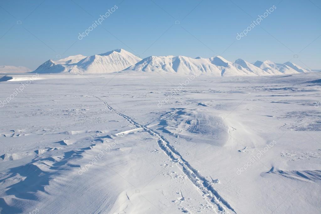 Arctic Landscape