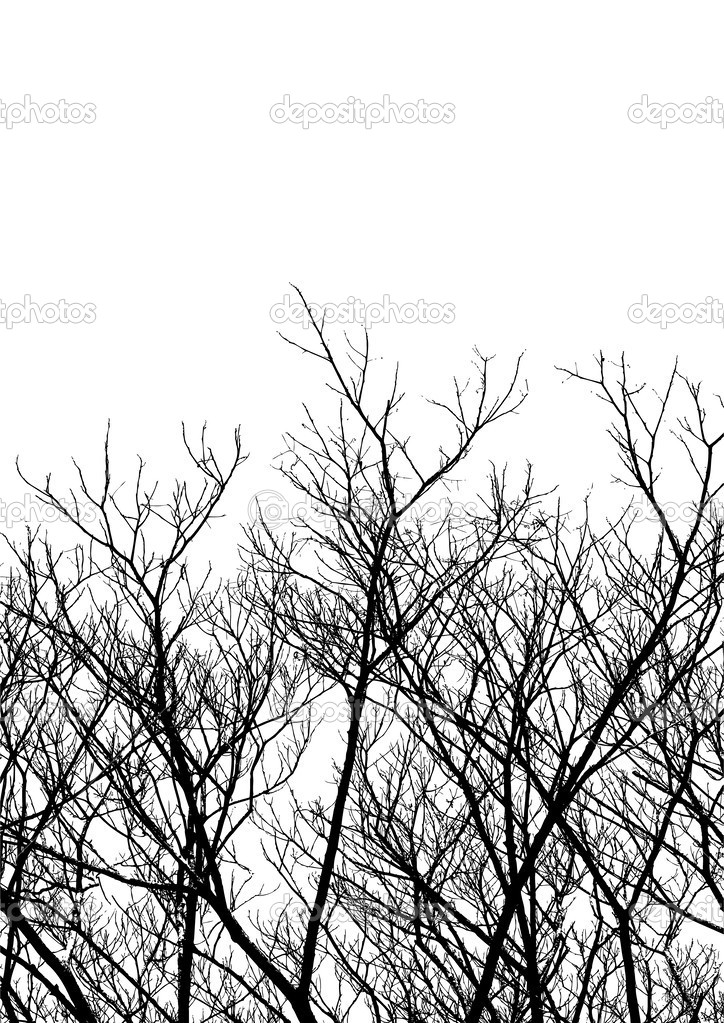 Abstract Twigs Vector Stock Vector Image by ©attaphongw #29763199 Abstract Twigs Vector Stock Vector Image by ©attaphongw #29763199