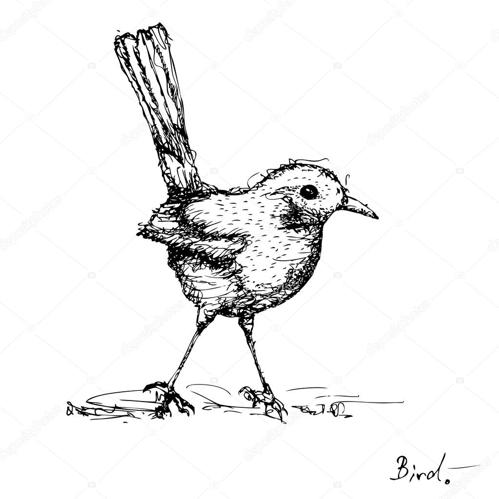 Sketch drawing of bird vector Stock Illustration by ©attaphongw #41245643