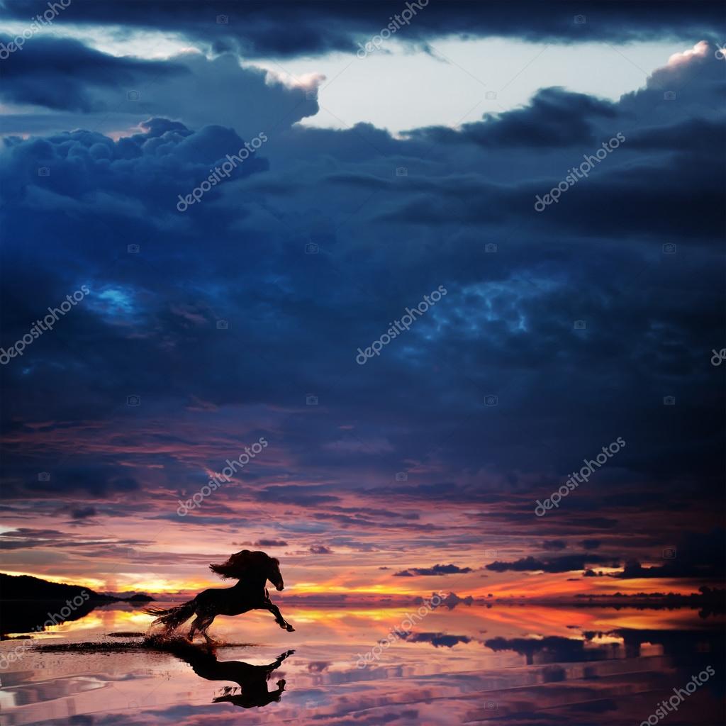 Horses In The Sunset On The Beach