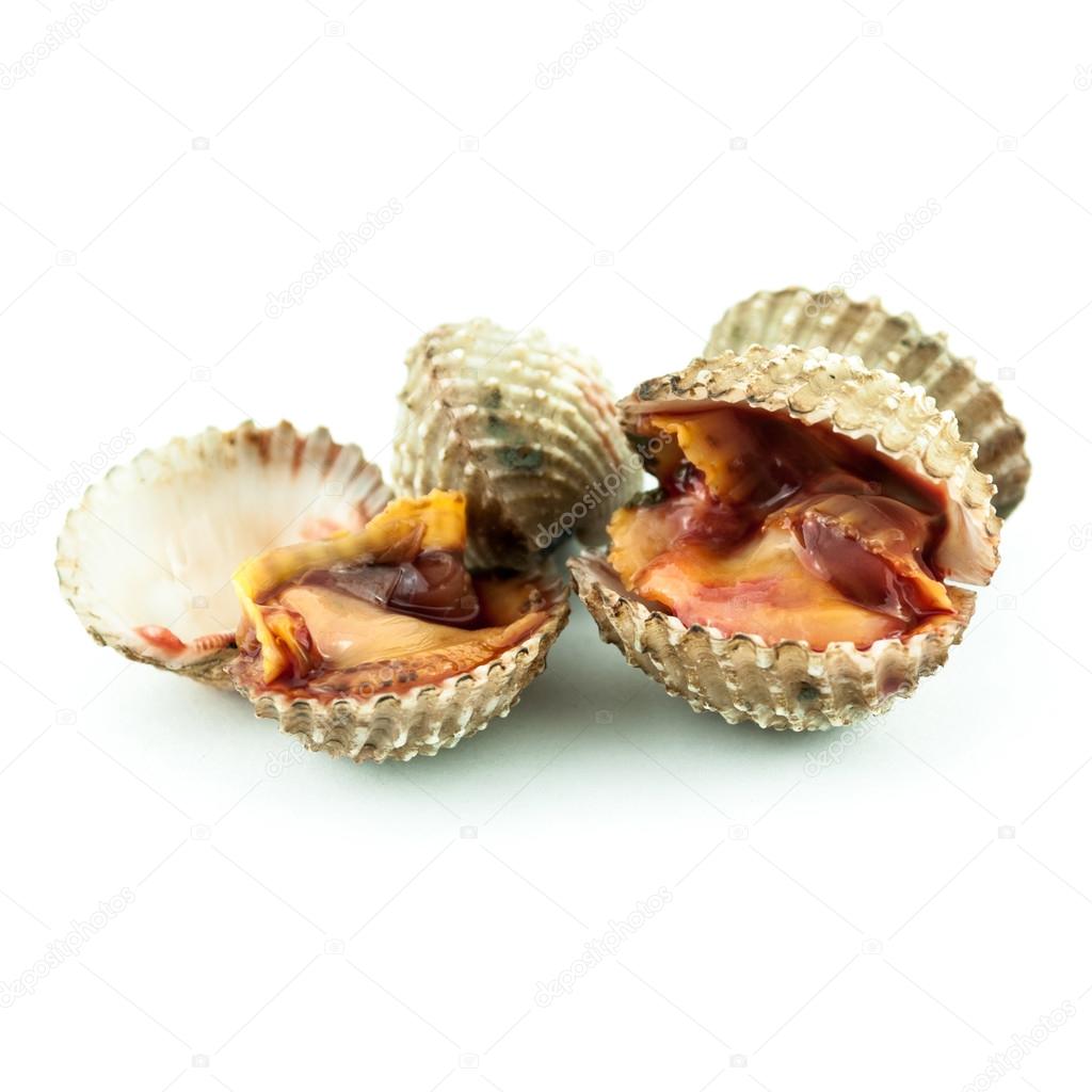 Steamed cockles - cockles isolated on white background -Fresh raw ...