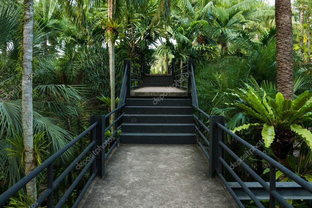 Beautiful garden corridor - natural open corridor in botanic park ...