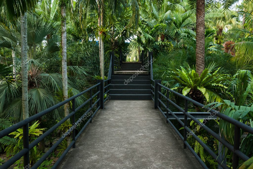 Beautiful garden corridor - natural open corridor in botanic park Stock ...