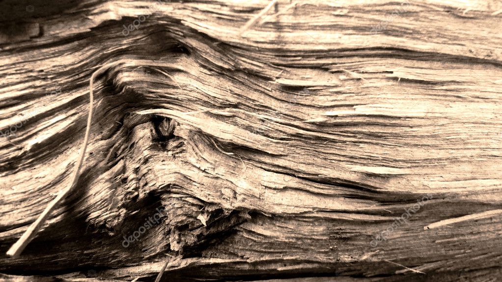 Old wood texture ⬇ Stock Photo, Image by © MalyDesigner #14426263