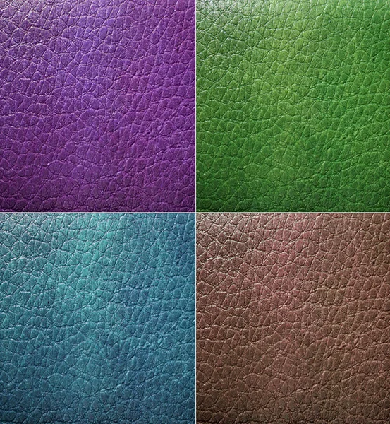 Collage of skin animal texture — Stock Photo #28727071 - Stock Image ...