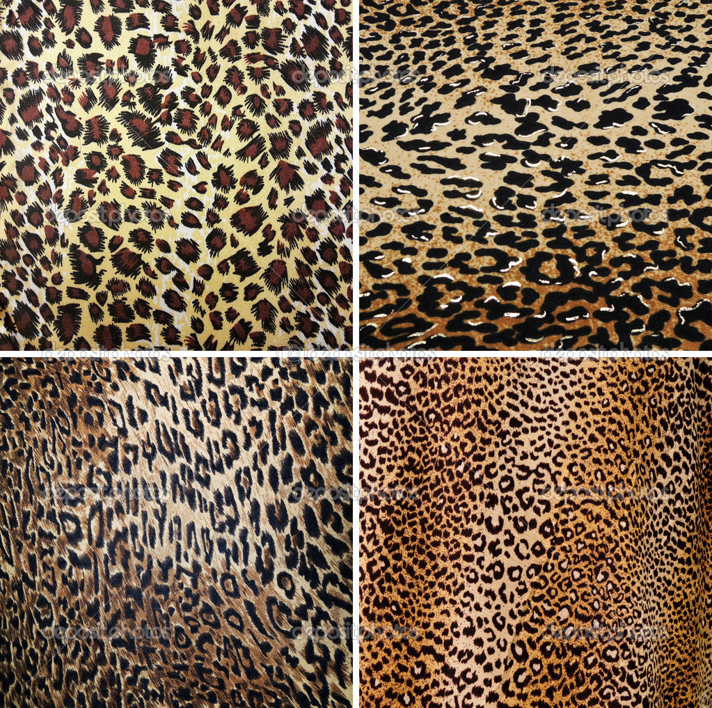 Wild Animal pattern collage Stock Photo by ©MalyDesigner 28728309