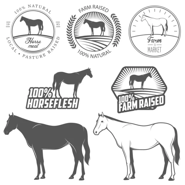 Set of equestrian stables labels and badges — Stock Vector © ivan ...